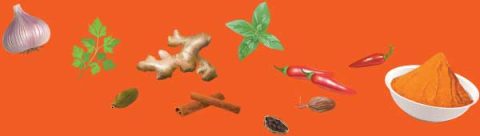 Monster Curry Indonesia - Japanese Curry Rice